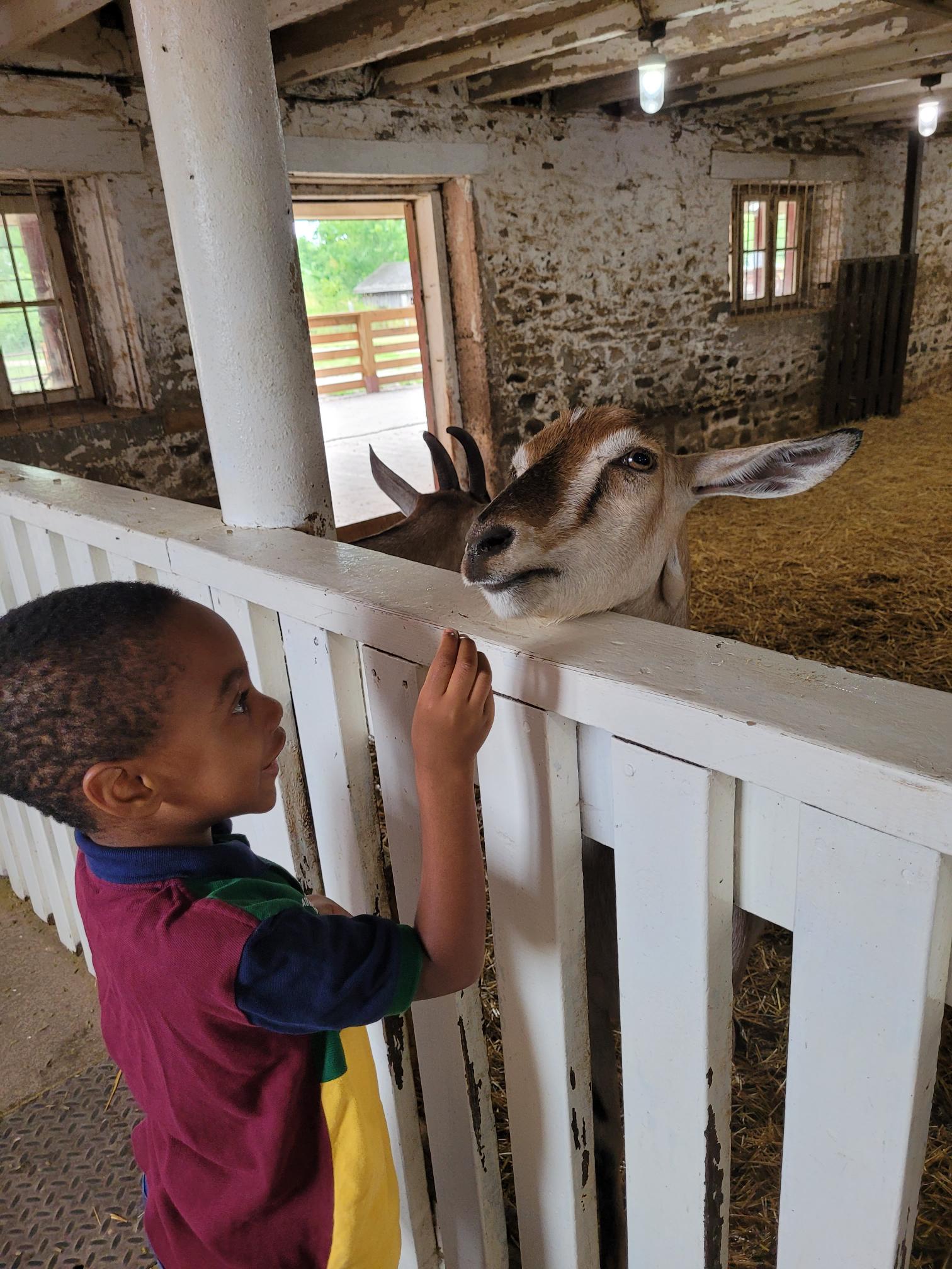 The Joy of Learning Centre